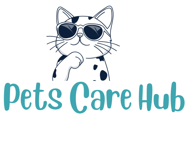 Best Horse Tack Storage Ideas For Organized Stables - Pets Care Hub